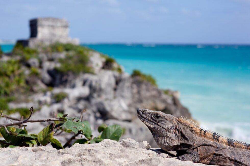 Top 10 Things to Do Near Tulum, Mexico (2026 Travel Guide)